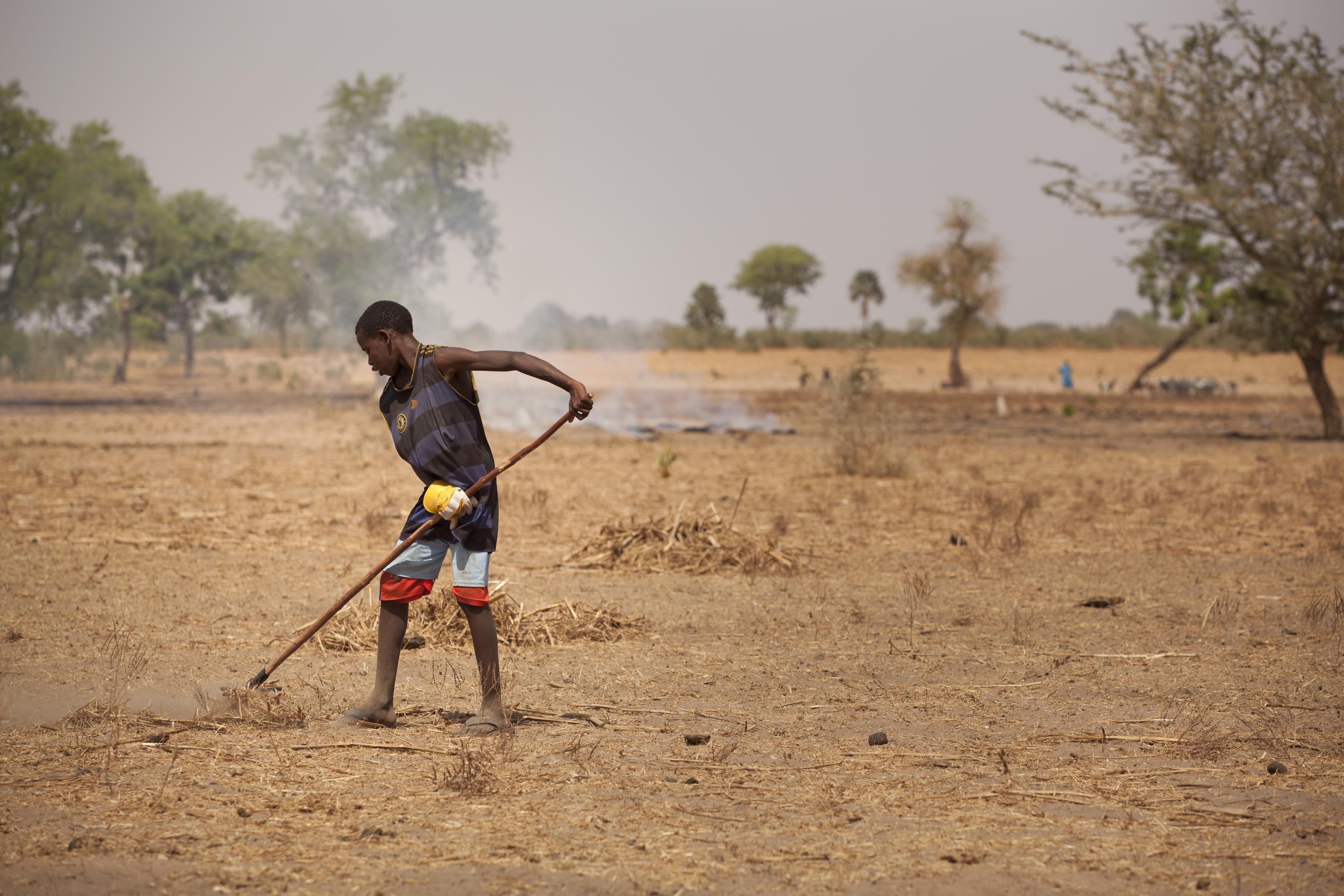 Senegal's Fertilizer Subsidy: Boon for Agricultural Productivity ...
