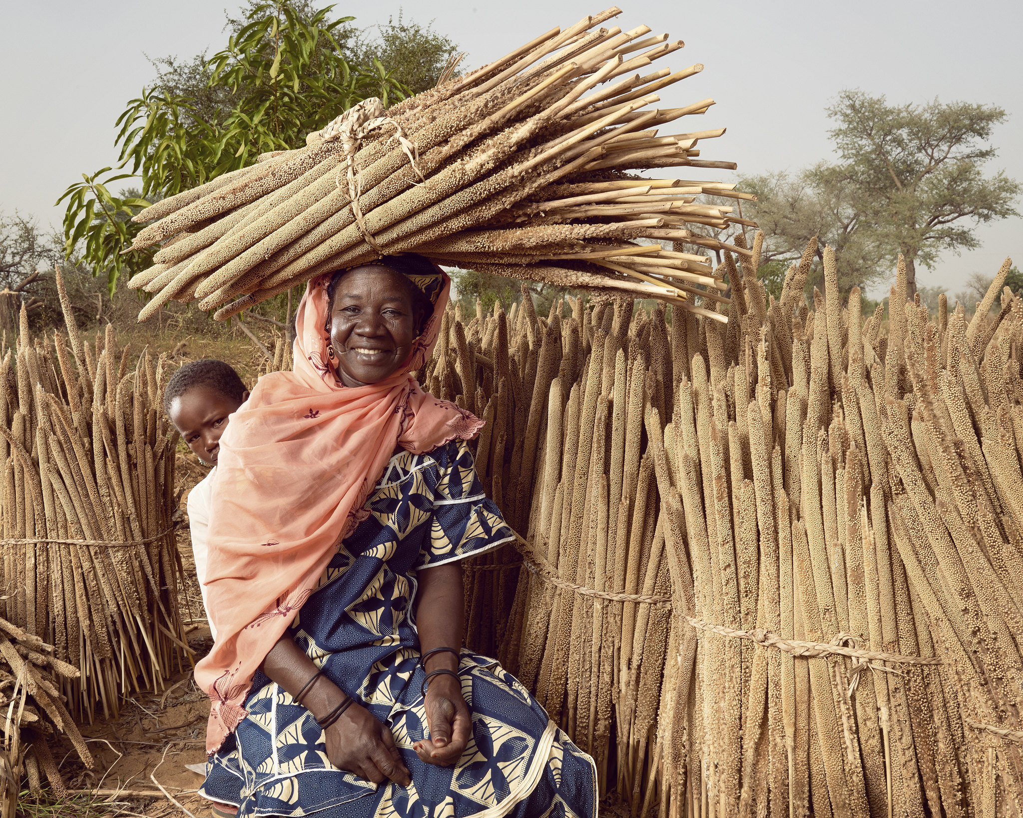 Strategic Grain Reserves in Africa | Africa South of the Sahara
