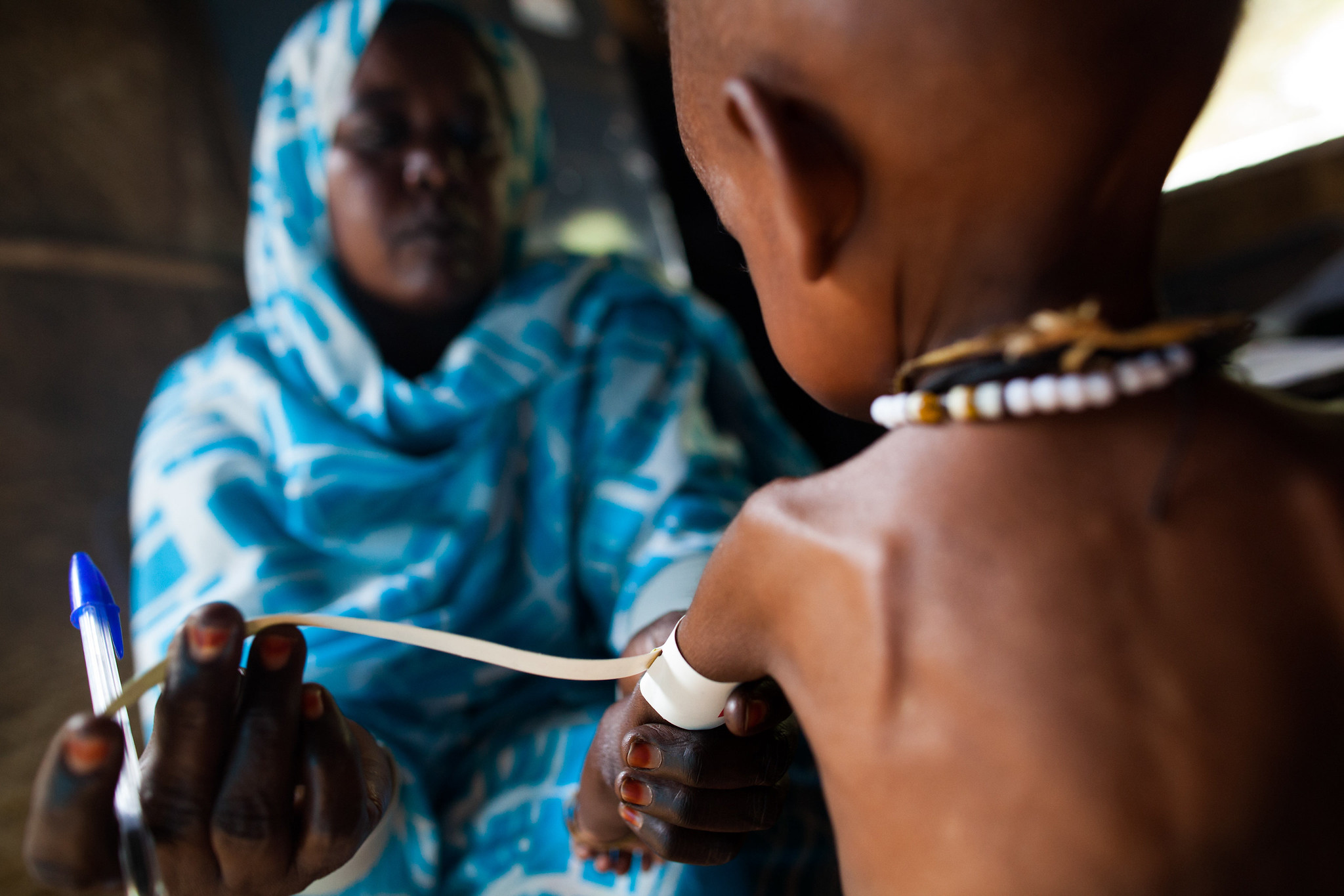Greater Accountability and Action Needed to Combat Global Malnutrition ...