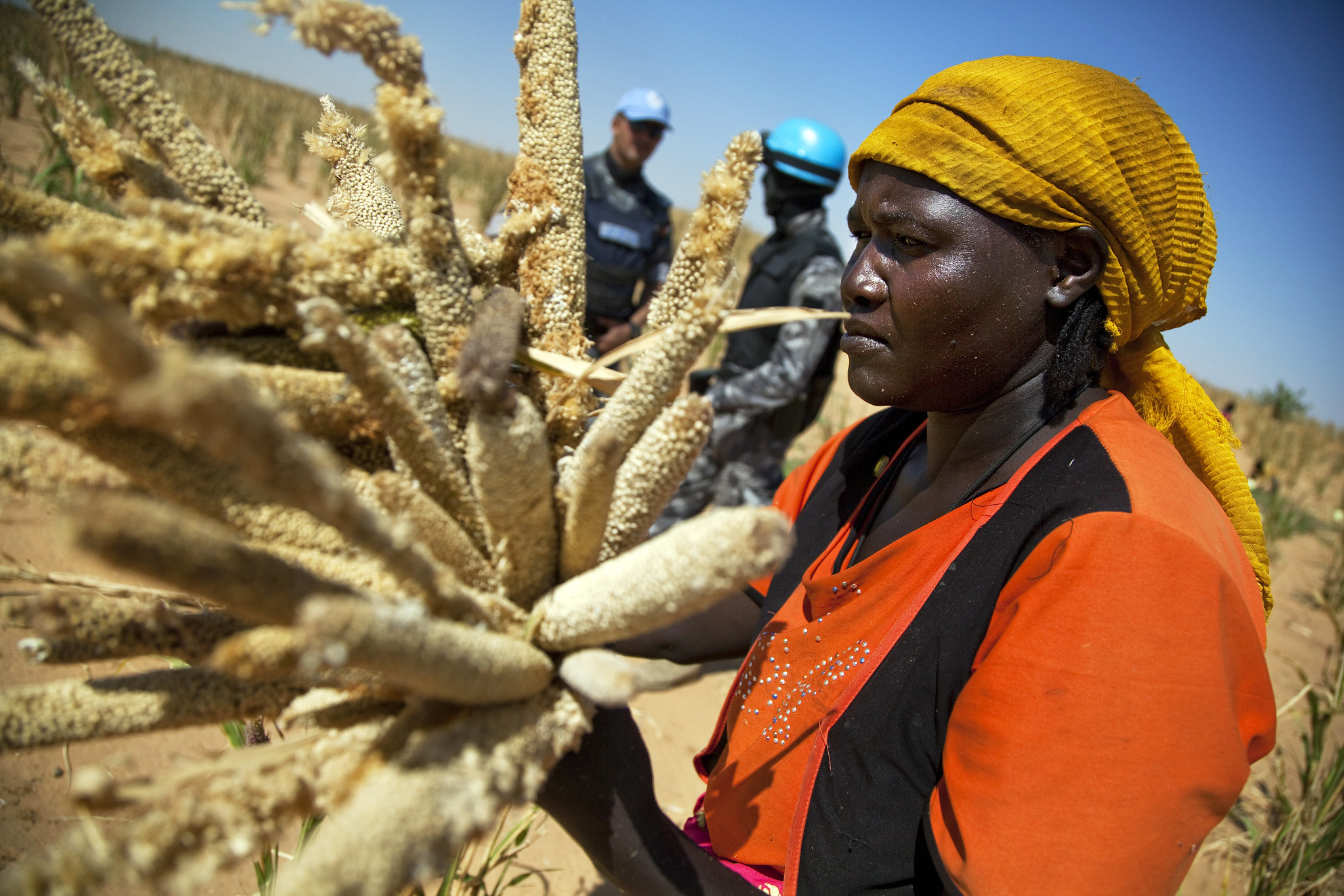 What Part Do Women Play in Agricultural Labor? | Africa South of the Sahara