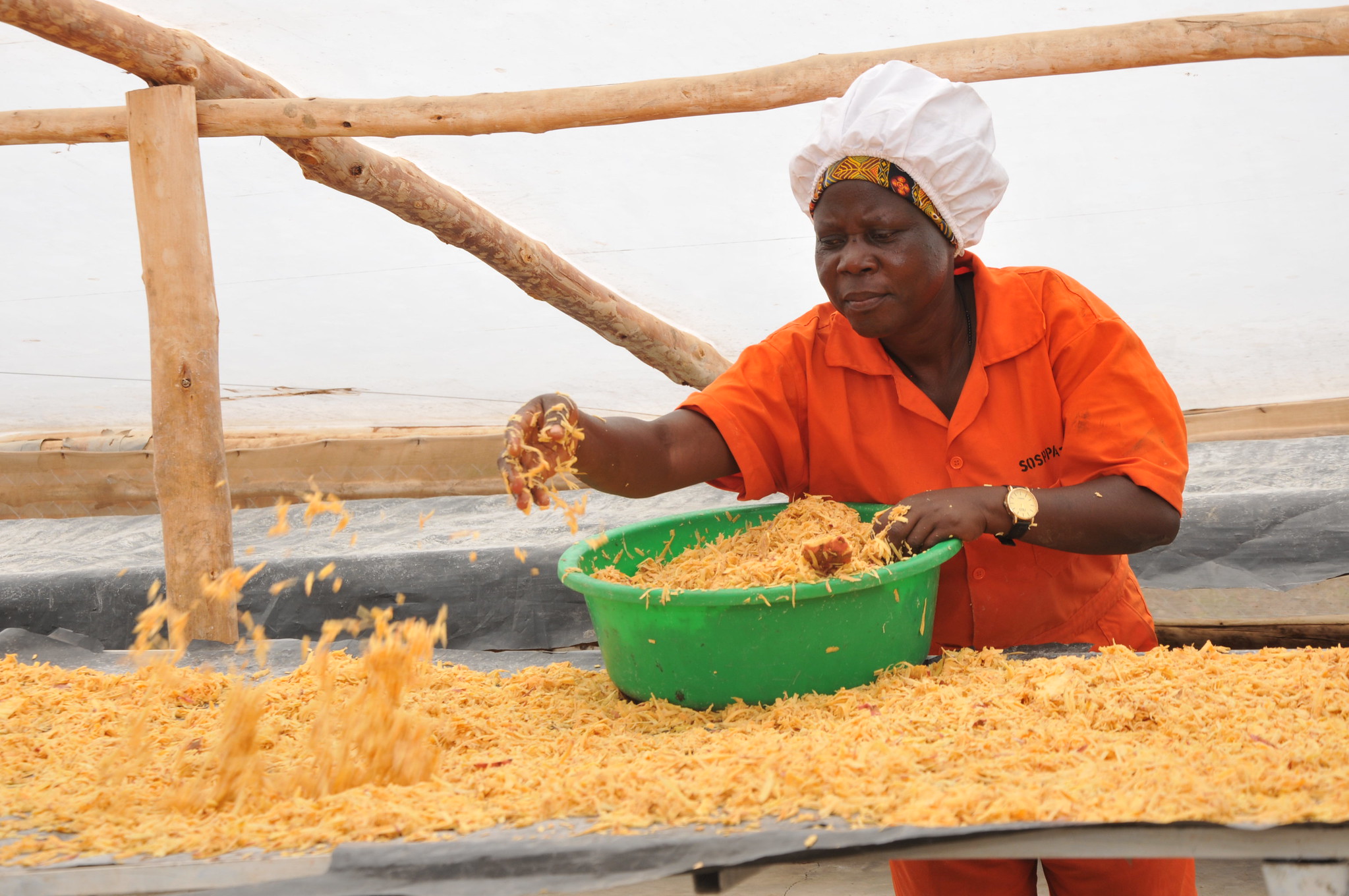 Building Capacity for Rwanda’s Agricultural Transformation | Africa ...