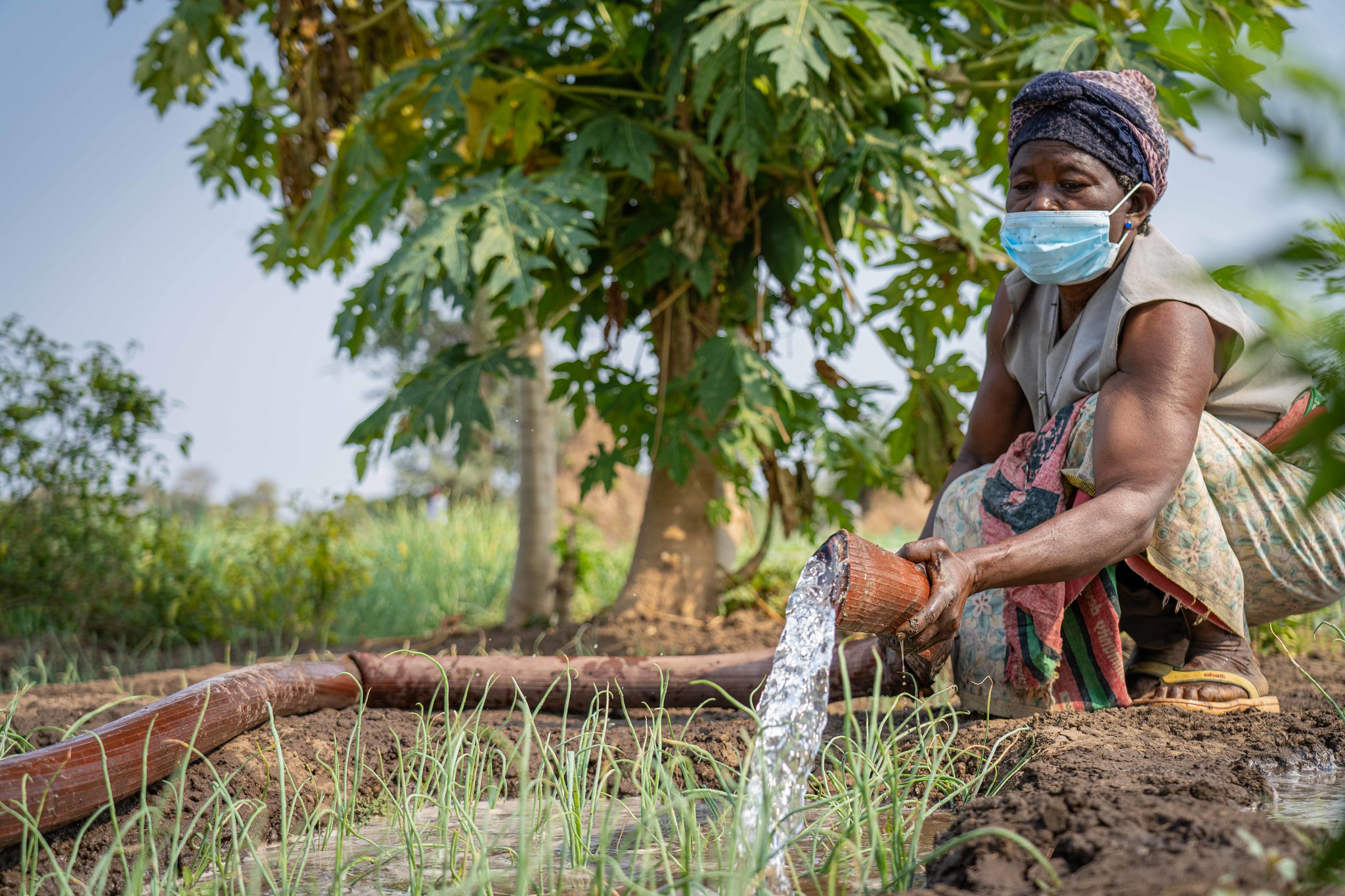 Feeding Africa: how small-scale irrigation can help farmers to change ...