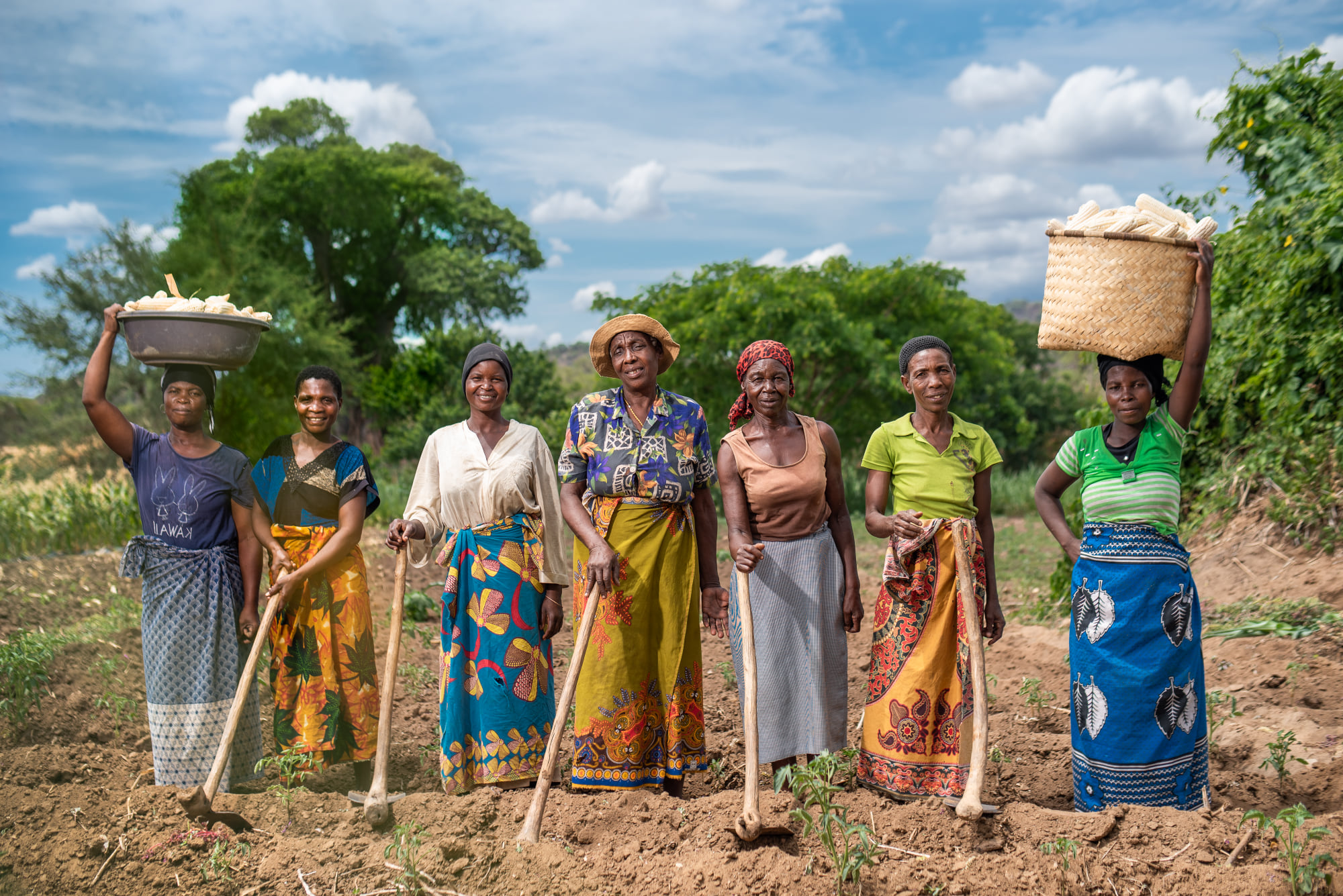 How Cooperatives Can Drive Agricultural Transformation in Malawi | Africa South of the Sahara